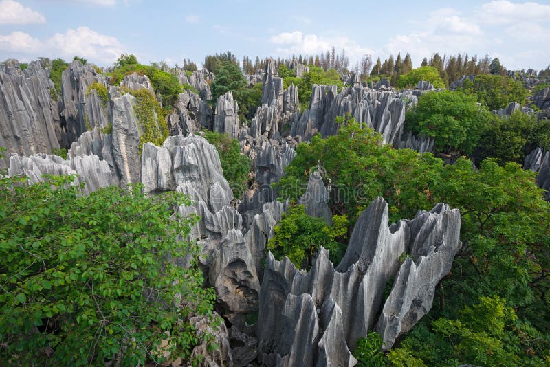 Stone Forest stock photo. Image of environment, hill - 31163582