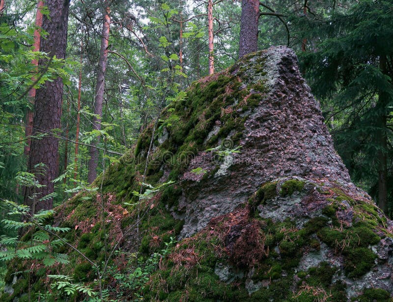 Stone in the Forest, Overgrown with Moss Stock Image - Image of shrub ...