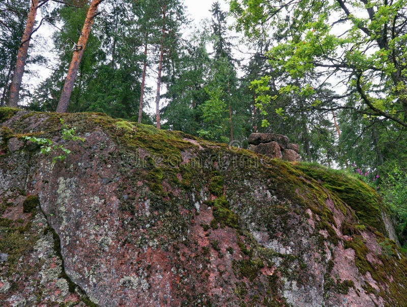 Stone in the Forest, Overgrown with Moss Stock Photo - Image of soil ...