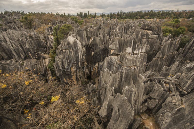 Stone Forest Rocks and Trees 3 Stock Photo - Image of limestone, brown ...