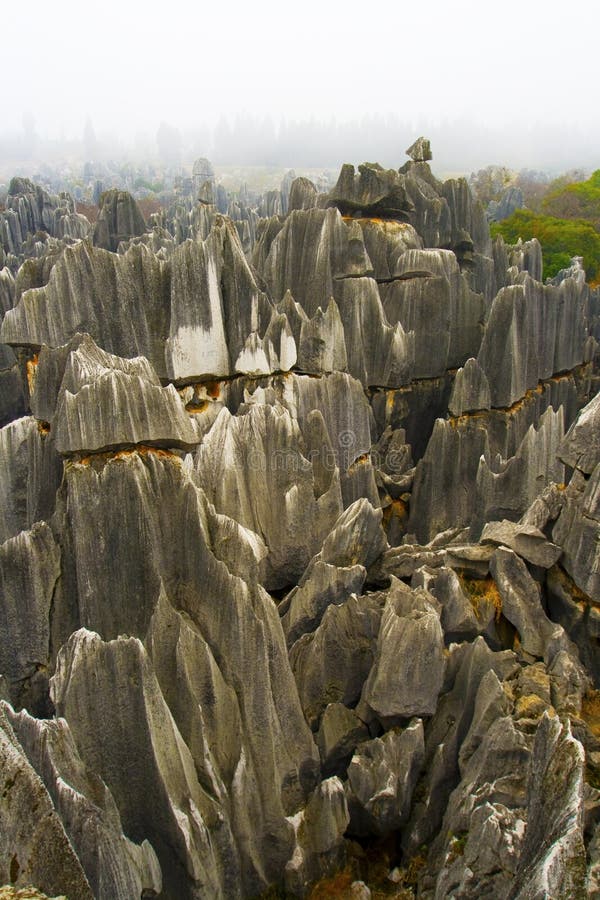 Stone Forest, Yunnan, China Stock Photo - Image of shilin, dream: 13312252