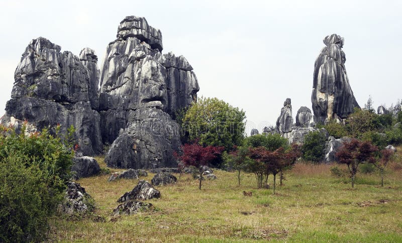 The Stone Forest, Yunnan, China Stock Photo - Image of yunnan, china ...