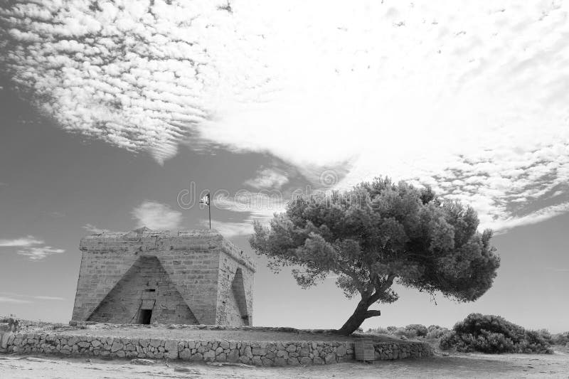 Fortress and Pine Tree in Mallorca, Spain Stock Photo - Image of ruins ...