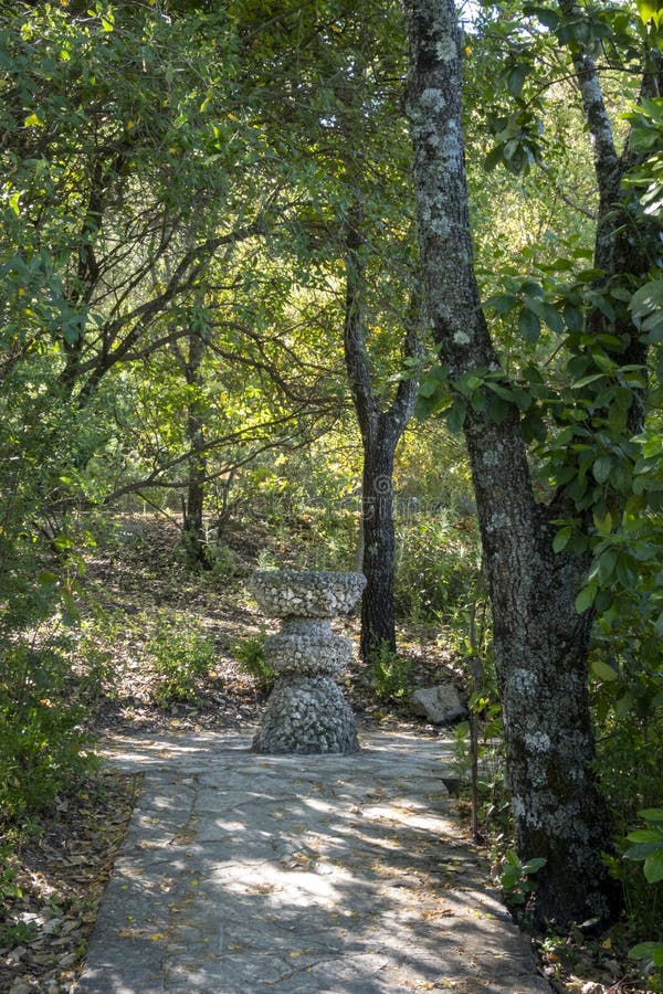 Stone Fountain at the End of a Path in a Lush Forest Stock Image ...