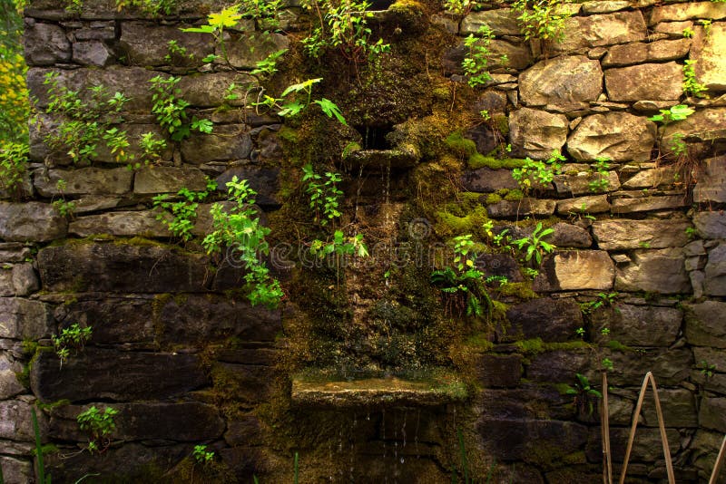Stone fountain stock image. Image of flora, natural, cool - 53121047