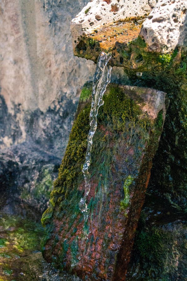 Source of Spring Water Bottle Filling Holding Hand Stock Image - Image ...