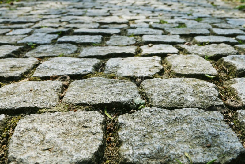 Stone Garden Path with Moss in Early Morning Light Stock Photo - Image ...