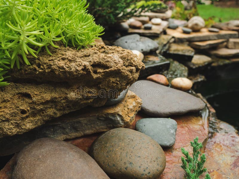 Stone Garden Rock Green Plant Nature Stock Image - Image of asia, grass ...