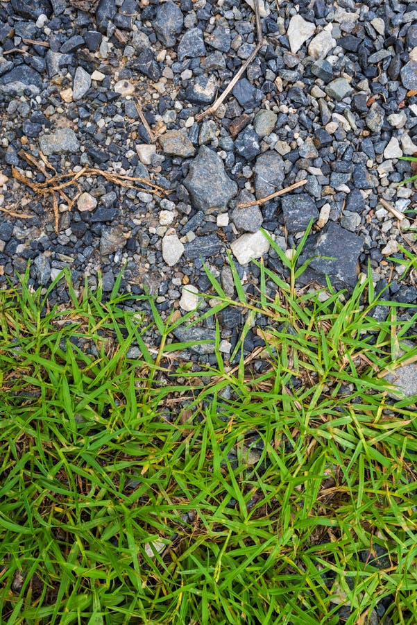 Stone and grass stock image. Image of cobblestone, urban - 75092807
