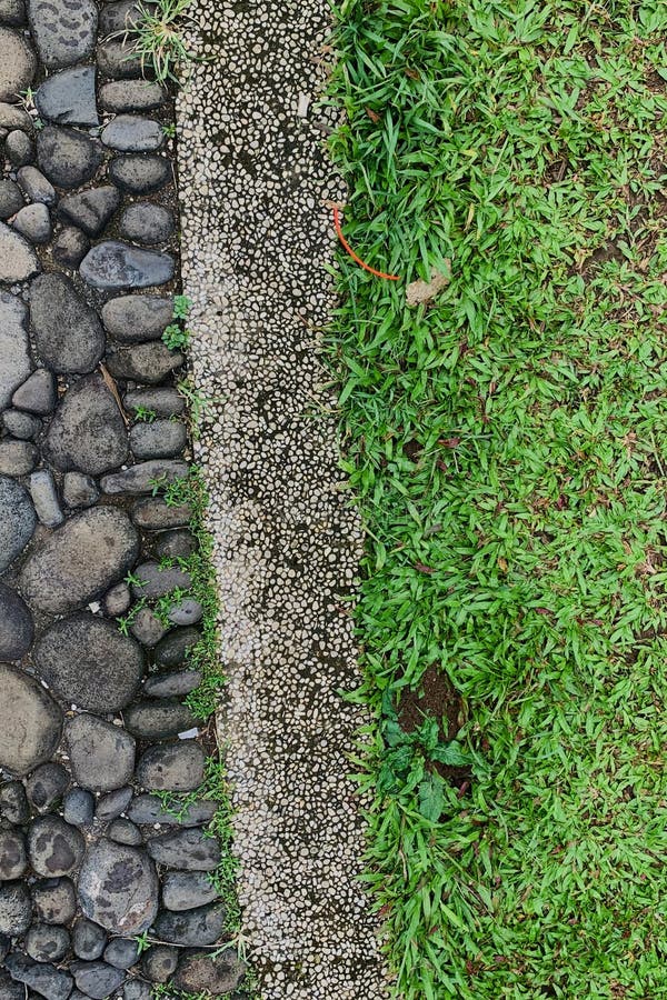 Stone and grass texture stock photo. Image of rock, branch - 263133890