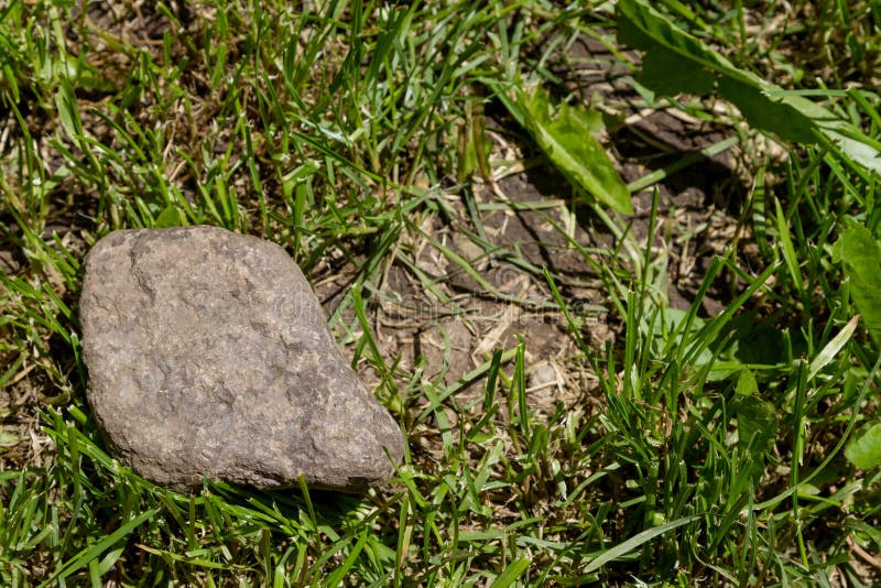 Stone among green grass stock photo. Image of abstract - 148201410