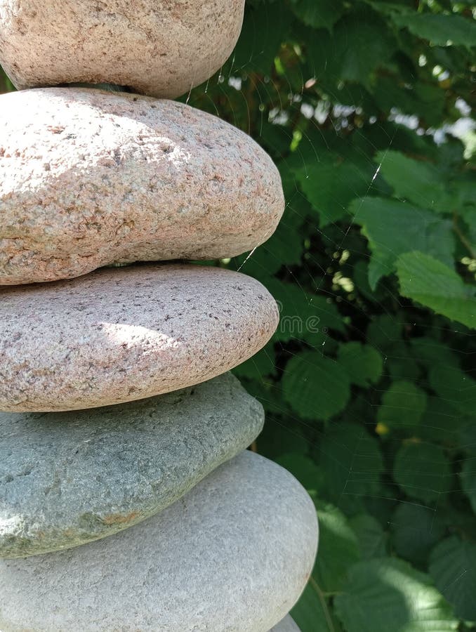 Stone and Green Leafes with Spider Net Stock Photo - Image of lawn ...