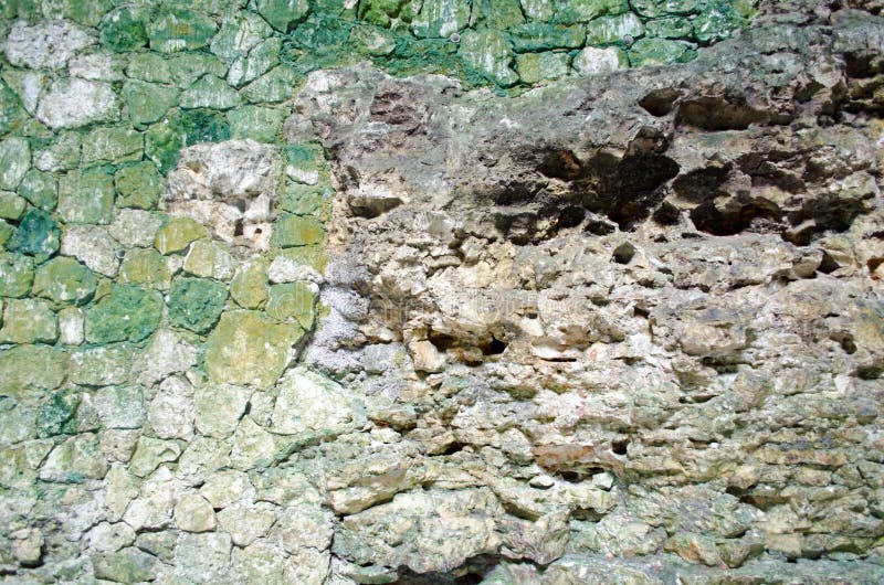 Stone with Green Moss and Algae Stock Image - Image of plants, abstract ...