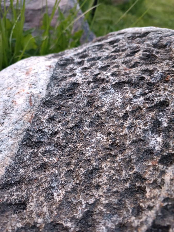 Strange Stone Grey Grass Interesting Stock Image - Image of interesting ...