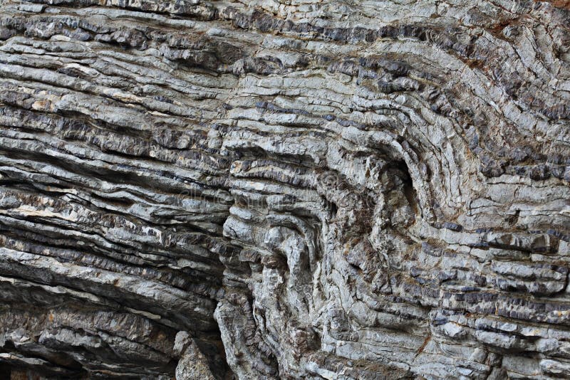 Stone grey texture stock photo. Image of level, floor - 55417964