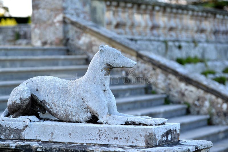 Stone greyhound stock image. Image of greyhound, stone - 96595973