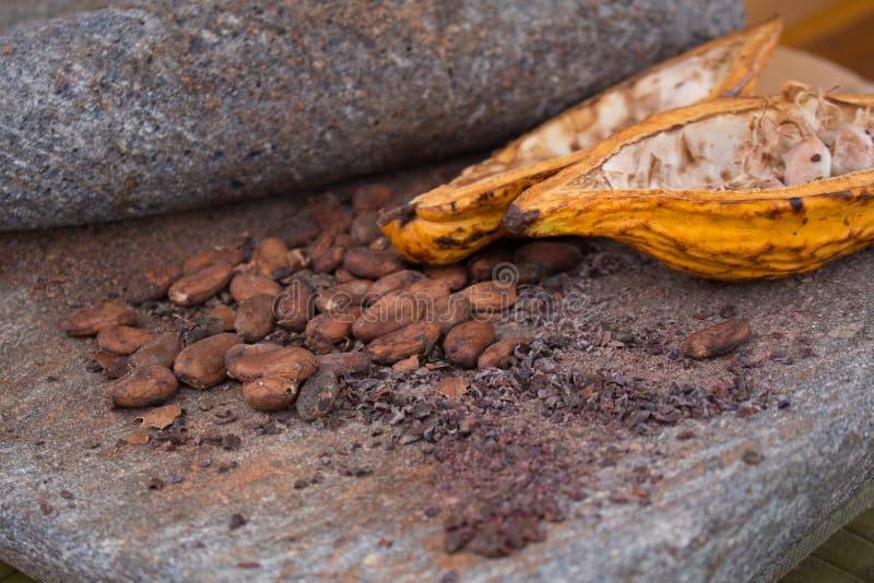Ground Cacao Powder with Fresh Limes Stock Photo - Image of food, fruit ...