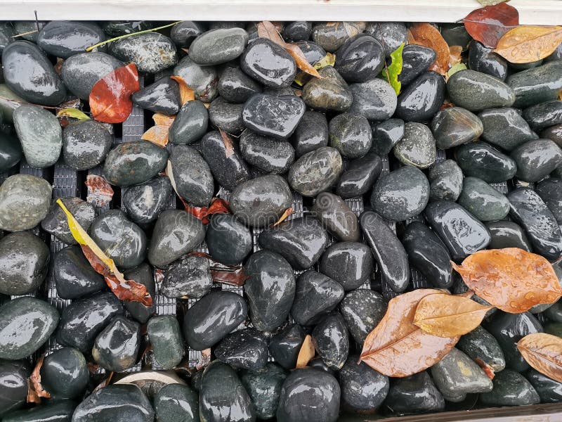 Stone ground with leaves stock image. Image of pebble - 222510113