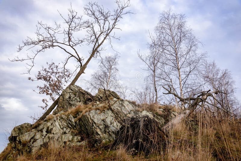 A Stone Hill with Sloping Trees Stock Image - Image of mountain, grass ...