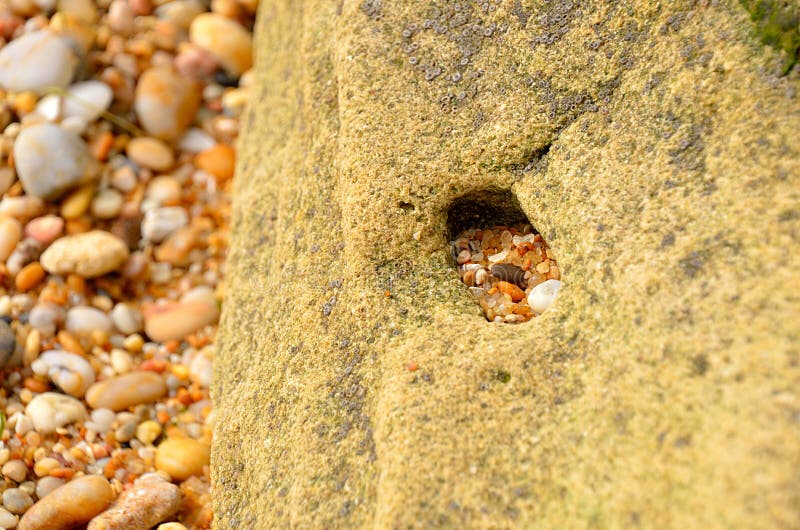 Stone hole stock photo. Image of seashell, stones, putamen - 101807340