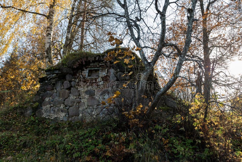 Stone House in the Forest Covered with Moss and Grass Stock Photo ...