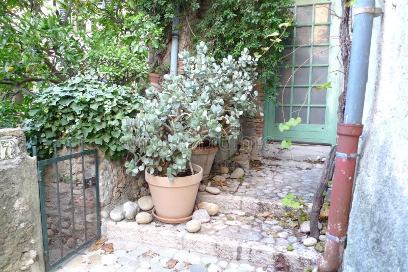 Stone House in Nice, France, Flower Pot in Front of the House Stock ...
