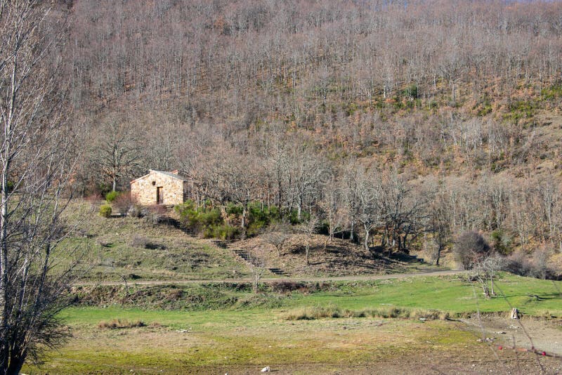 Stone Hut in the Forest of Leafless Trees Stock Photo - Image of rock ...