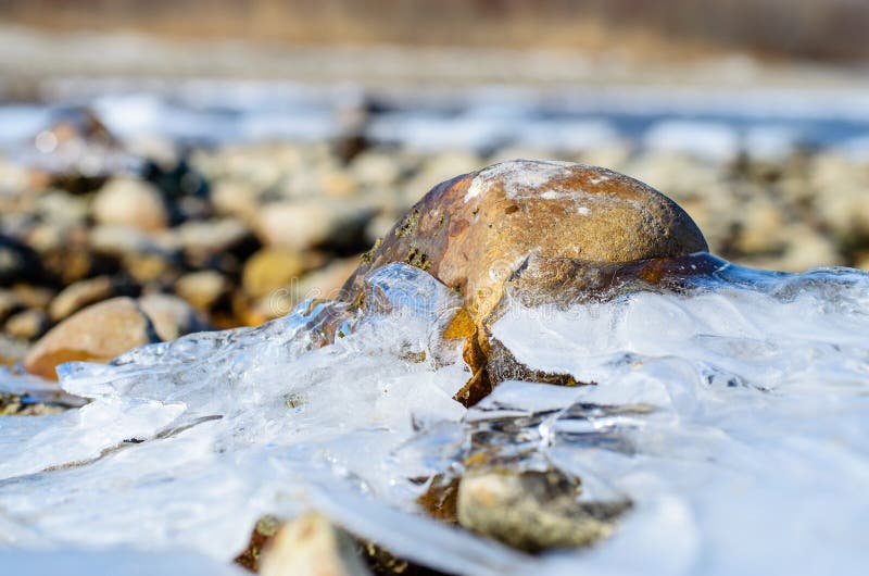 Stone in the ice. stock image. Image of icicle, coast - 35724577