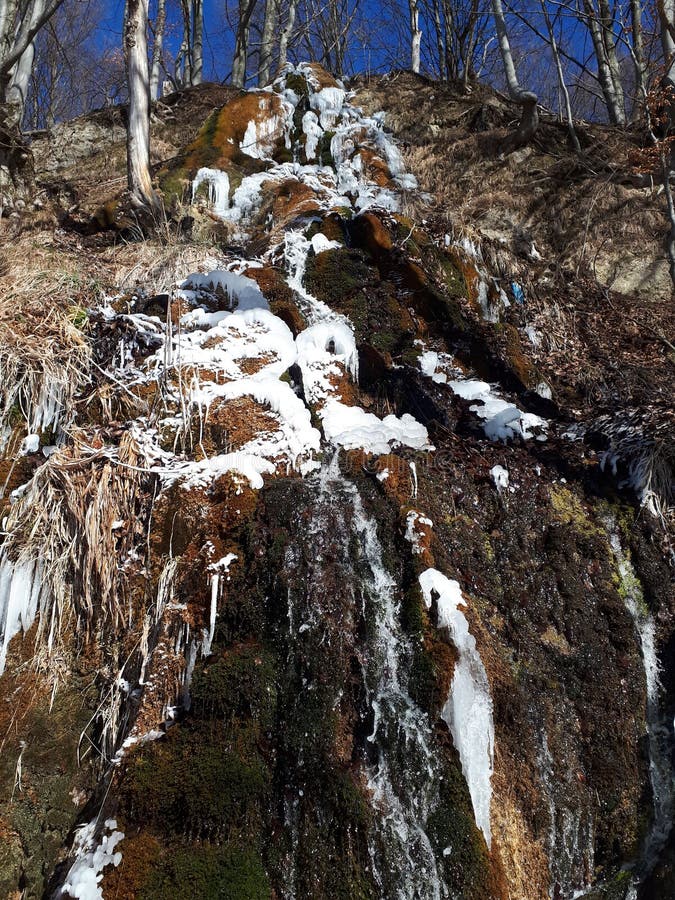 Stone Ice Tree Natural Winter Stock Photo - Image of tree, ston: 203328162