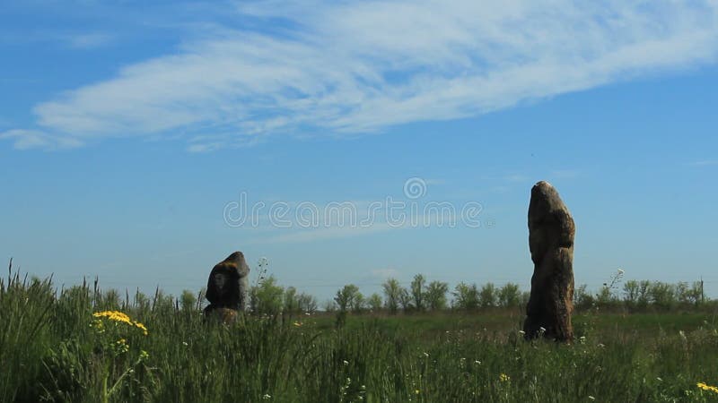 Stone idol of the Scythian stock video. Video of gravestone - 63544123