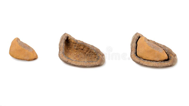 Stone Inside Isolated on White Background Stock Image - Image of ...