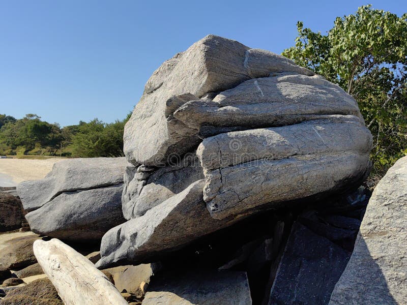 Stone in the Jungle stock photo. Image of presentation - 302537520