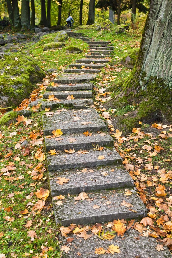 Stone Ladder in Autumn Park Stock Image - Image of outdoor, november ...