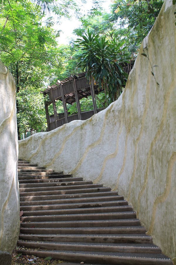 Stone Ladder In Tropical Park Stock Photo - Image of exotic, beautiful ...