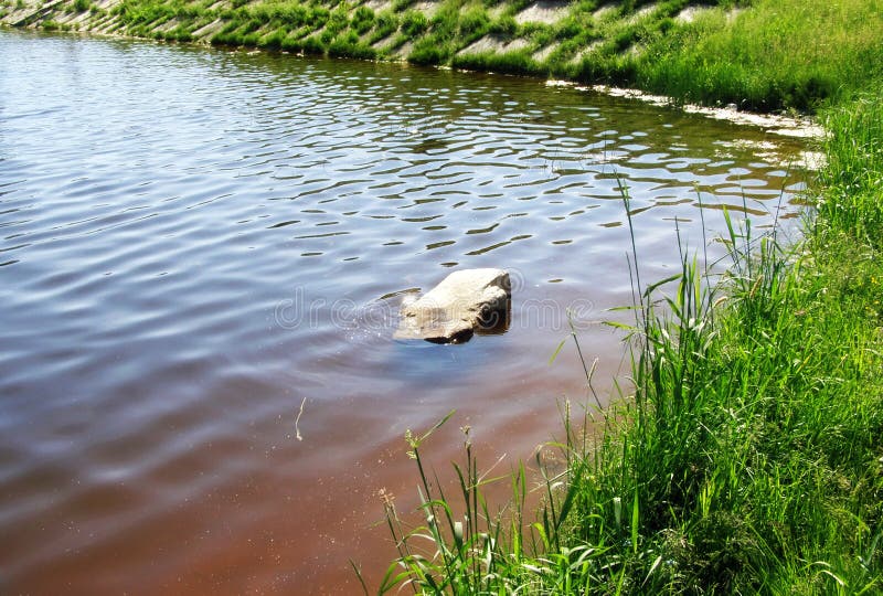 Stone in the lake stock photo. Image of grass, sunny - 46109912