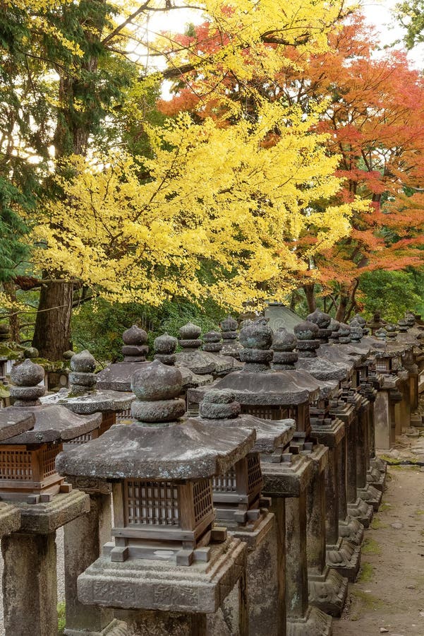 Stone Lantern in Japanese Shrine in Nara, Japan Stock Photo - Image of ...