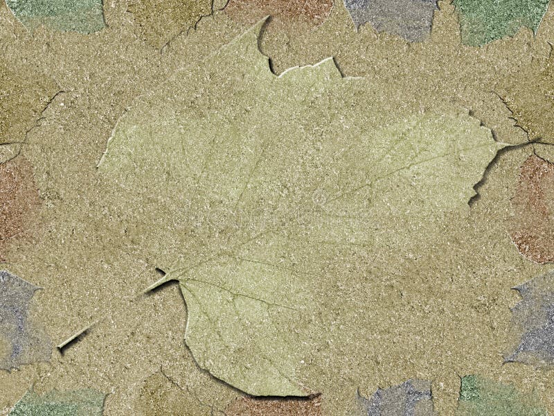 Stone leaf stock image. Image of coast, color, texture - 16370837