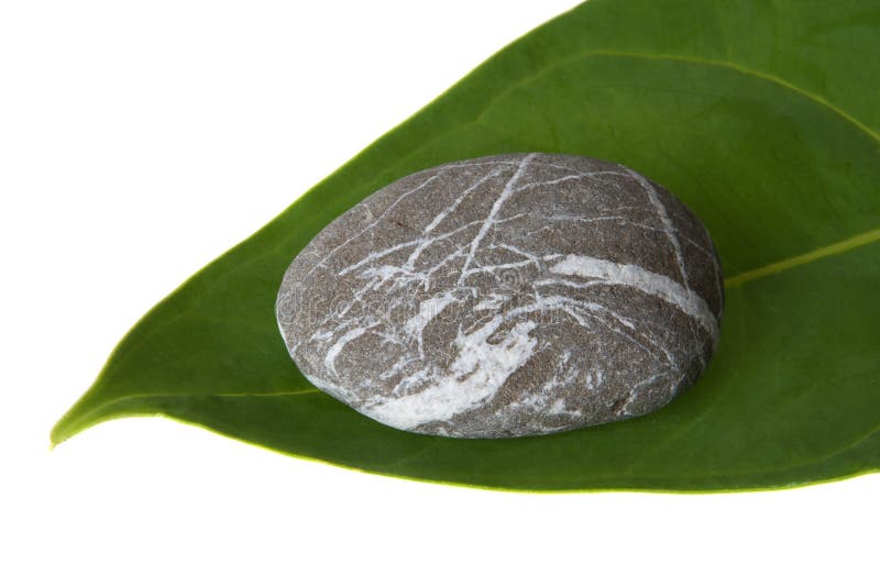 Stone And Leaf Picture. Image: 2828663