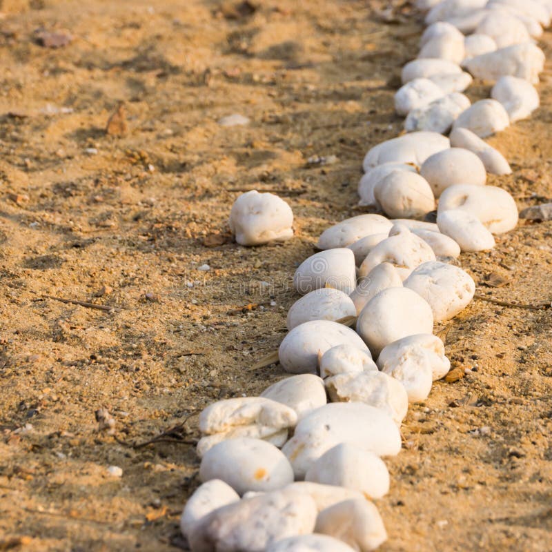 Stone line stock photo. Image of natural, pebble, sand - 38693674