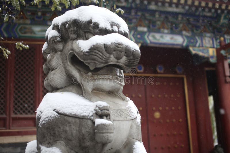 The Stone Lion Statue is Covered with Thick Snow in Peking University ...