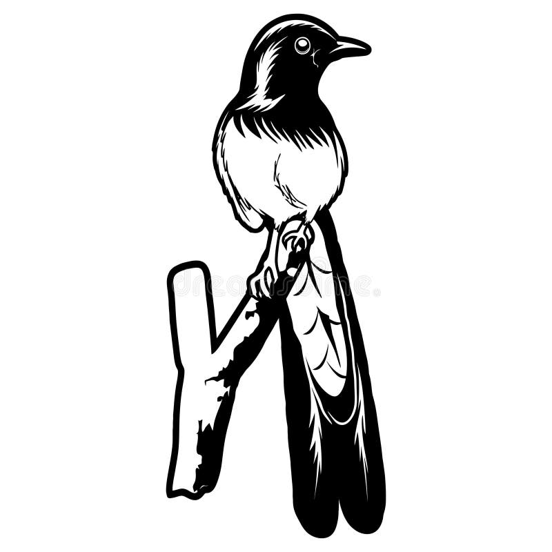 Stone Magpie Bird Black and White Stock Illustration - Illustration of ...