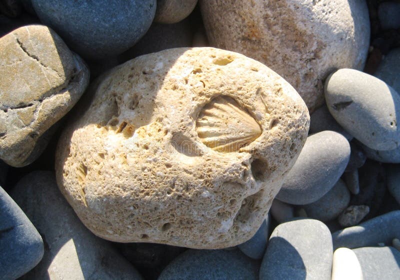 Stone stock photo. Image of background, stone, mark, stones - 42989922