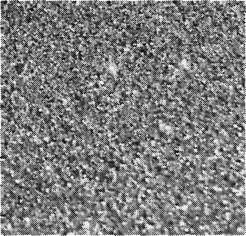 Concrete Nodule Stock Illustrations – 12 Concrete Nodule Stock ...