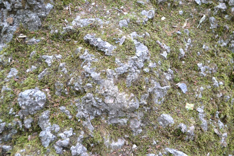 Abstract Natural Rock Stone Texture Design Background Stock Image ...