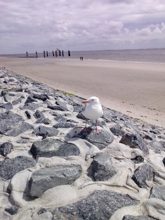 Stone mole on the sea stock photo. Image of summer, color - 97860356