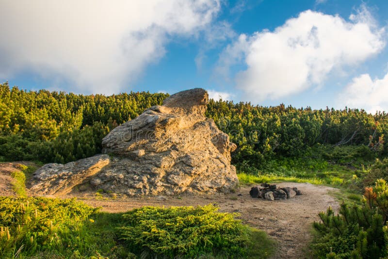 Stone Monster in the Bushes Stock Image - Image of travel, hiking: 96912849
