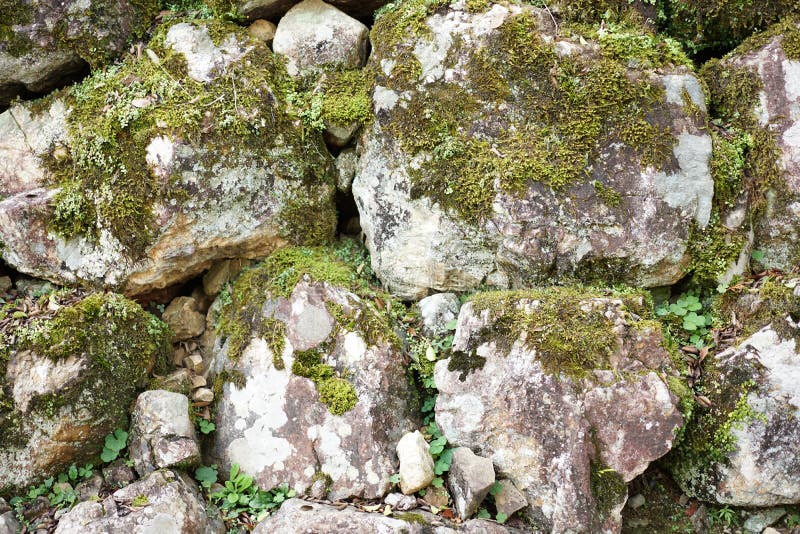 Stone with moss stock image. Image of rocks, texture - 84502147