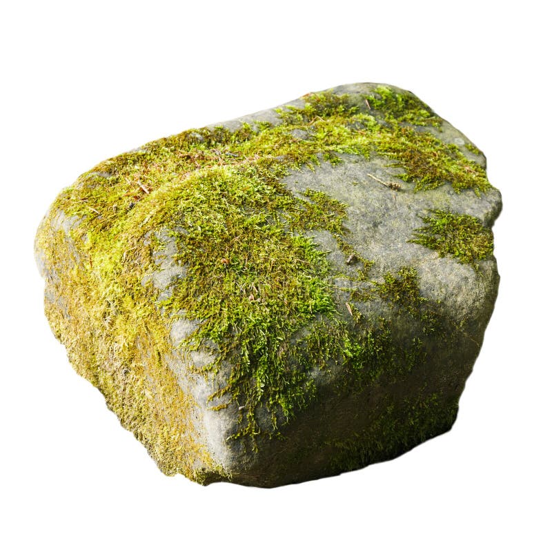Stone with Moss on a White Background for Design Stock Photo - Image of ...