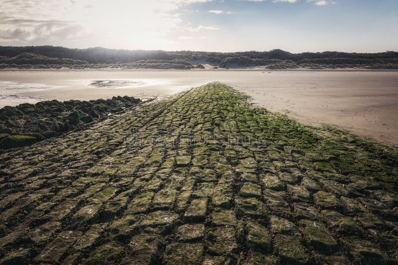 The Stone Mound on the Beach. Stock Image - Image of algae, overgrown ...