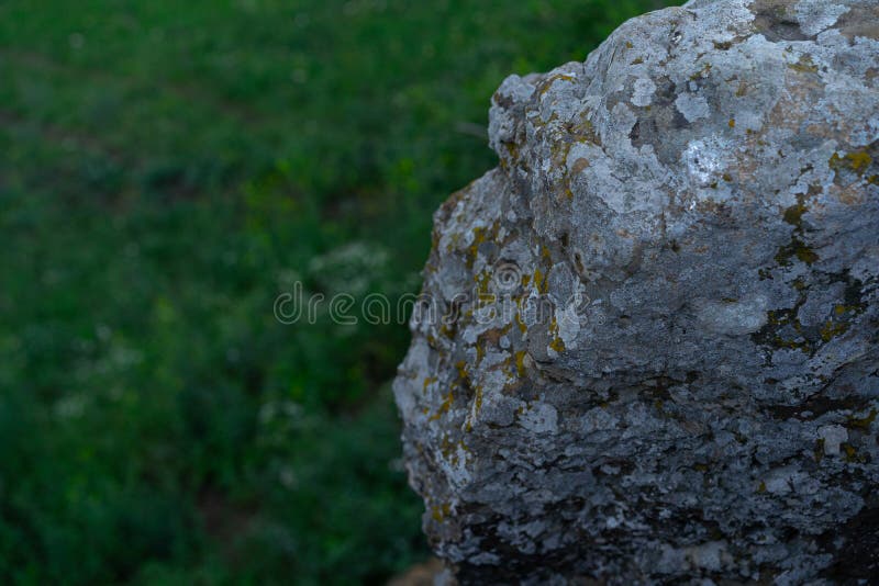 Stone Mountain Sur Le Rocher Photo stock - Image du herbe, côte: 189888280